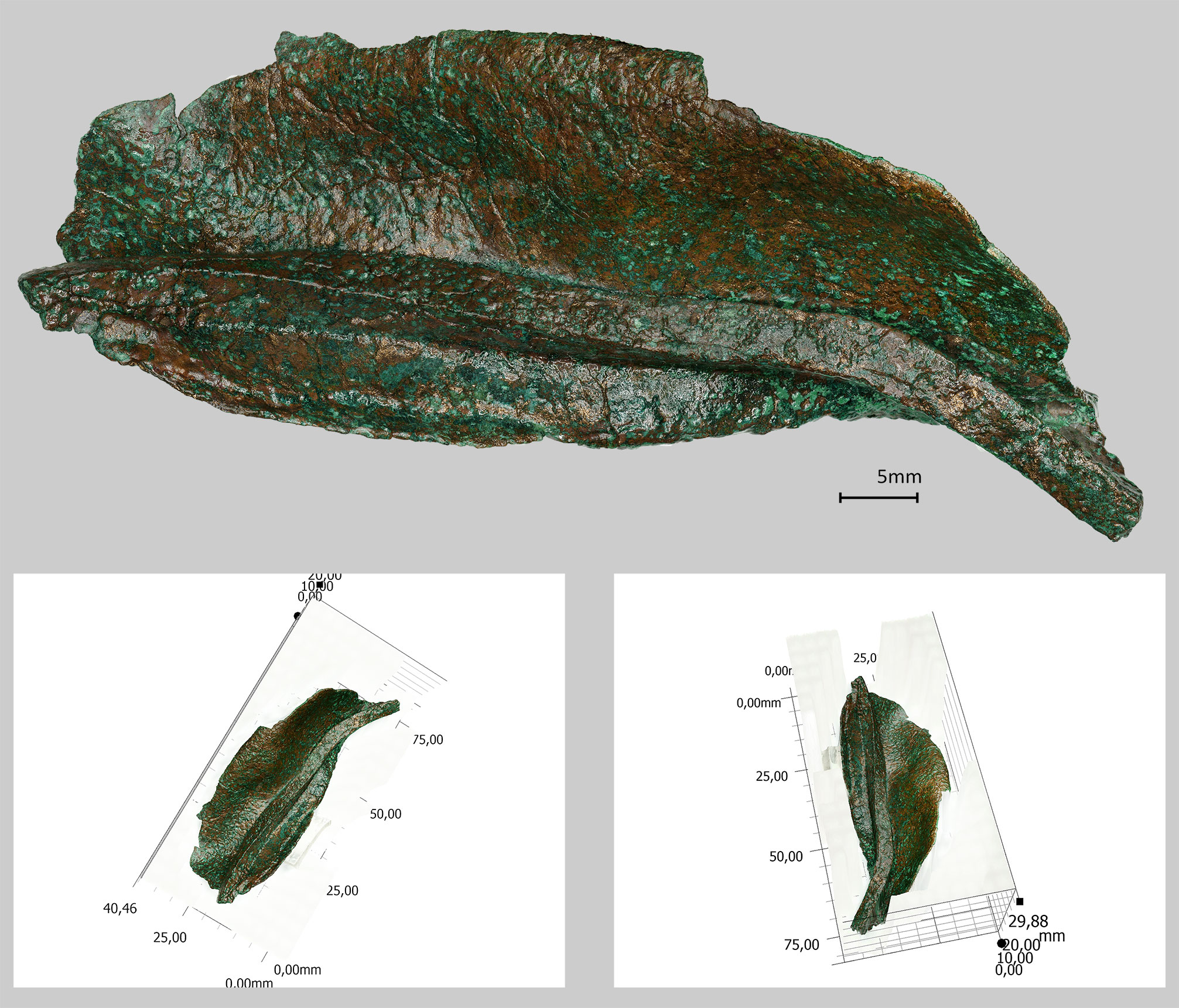 Carnyx, Fragment 3 – Universität Innsbruck