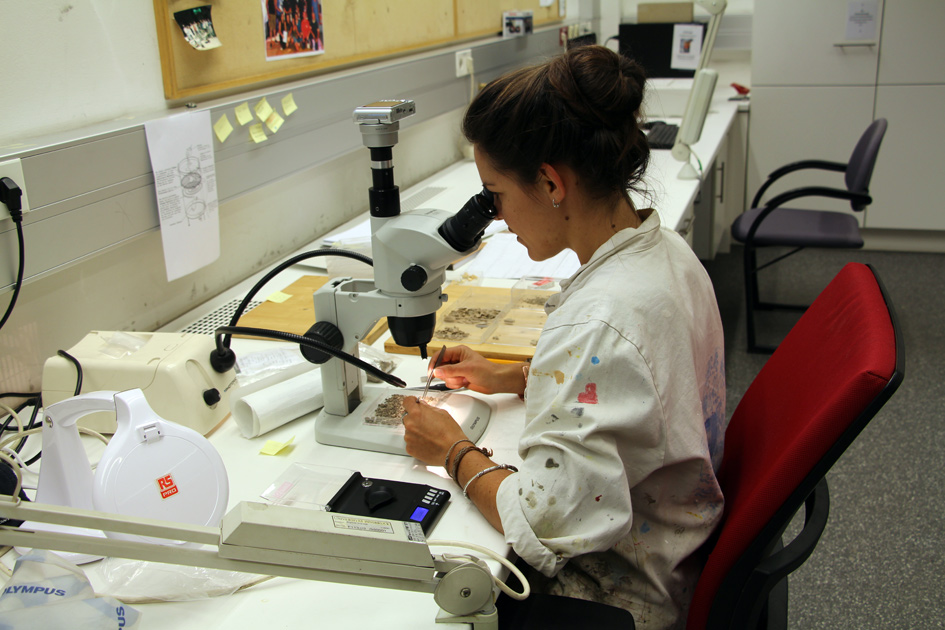 Mikroarchäologisches Labor – Universität Innsbruck