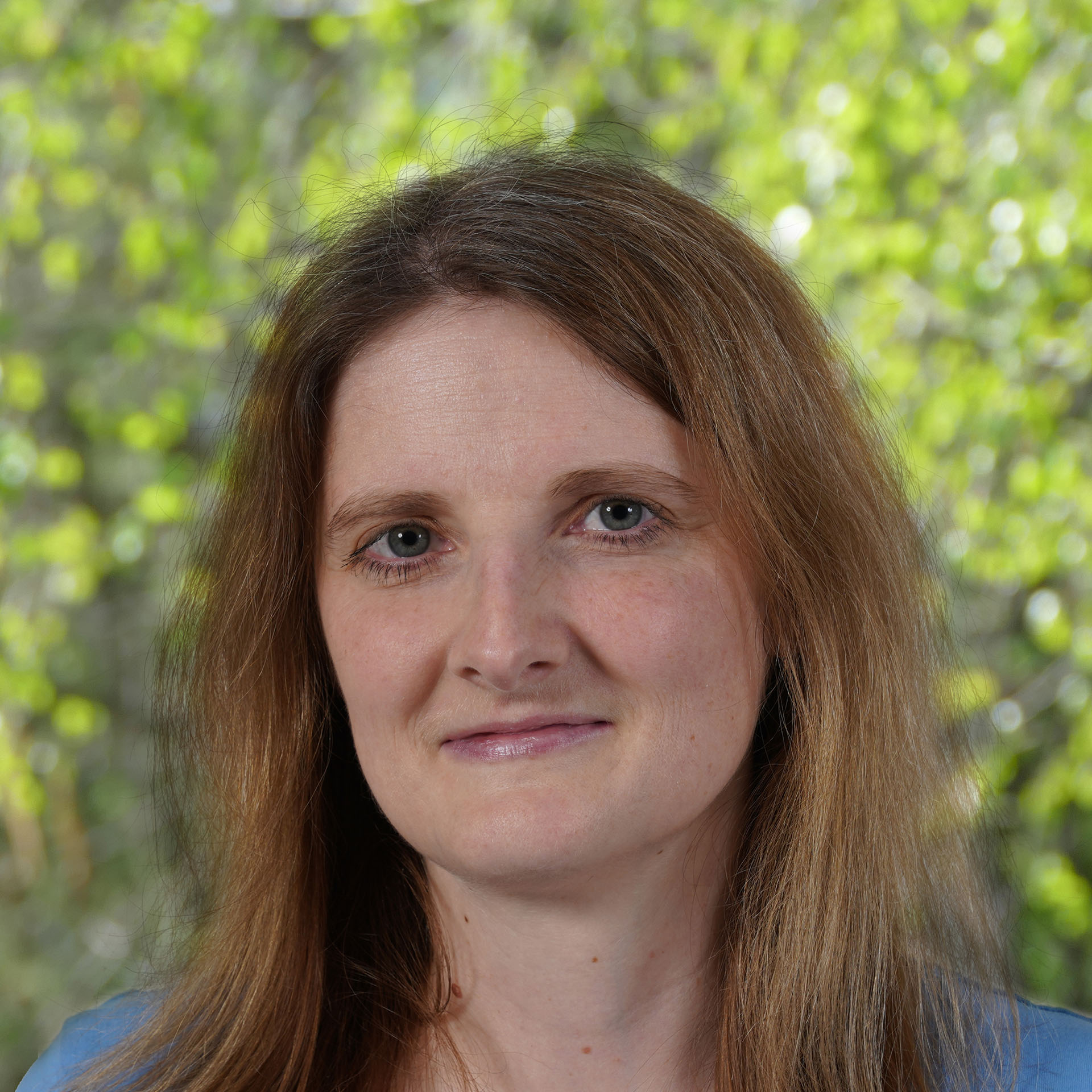 Sponsoren & Organisationskomitee – Universität Innsbruck