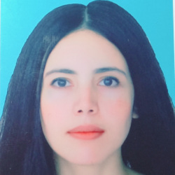 Team – University of Innsbruck