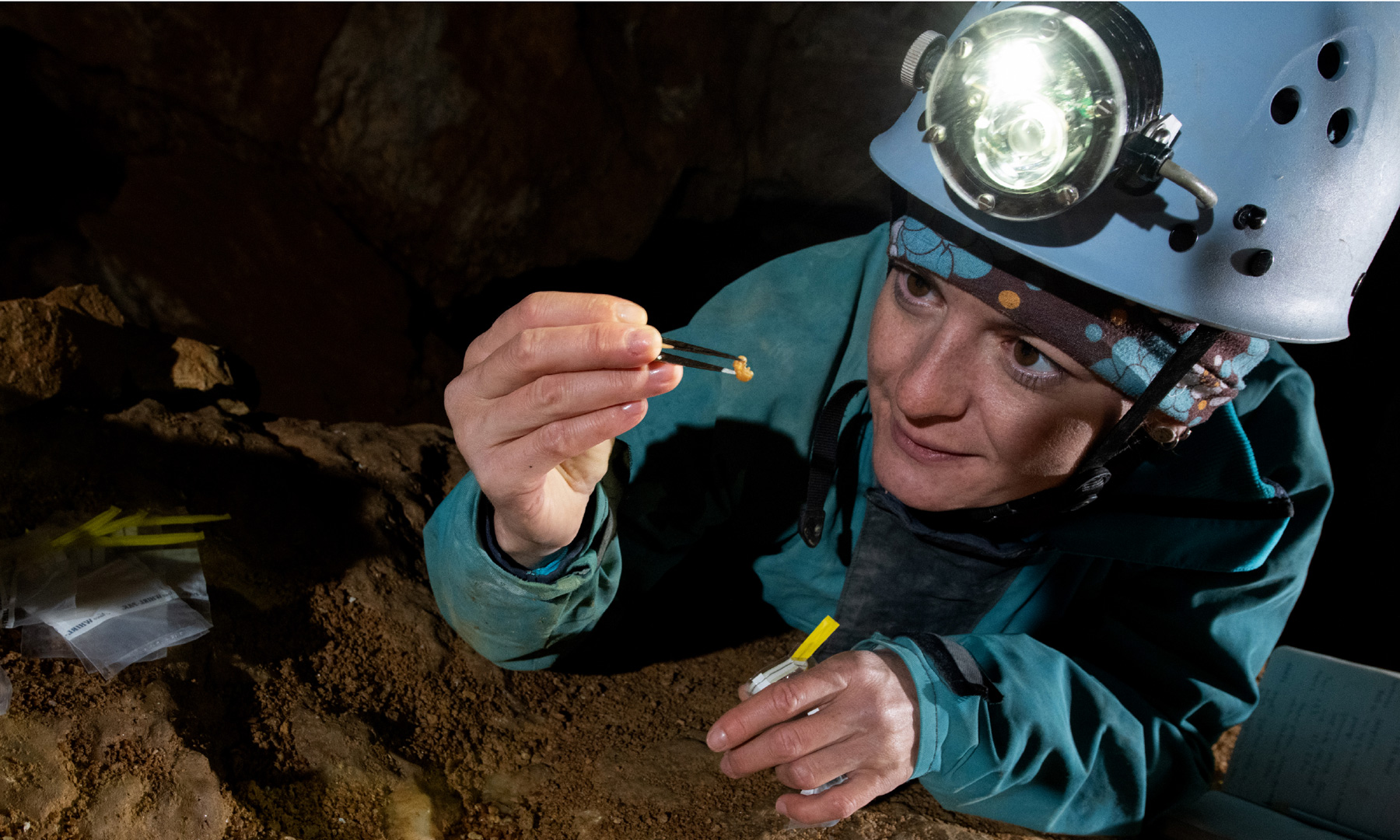 ÖAW-Wissenschaftspreis für Geologin Gabriella Koltai – Universität ...