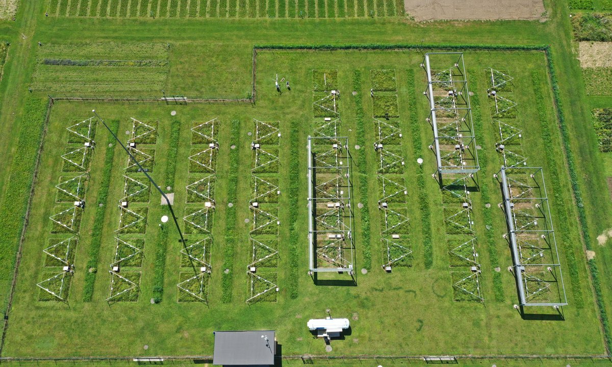 Stressed soil: How drought is changing grassland – Universität Innsbruck