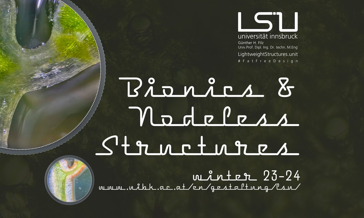 SE Bionics and Nodeless Structures – Universität Innsbruck