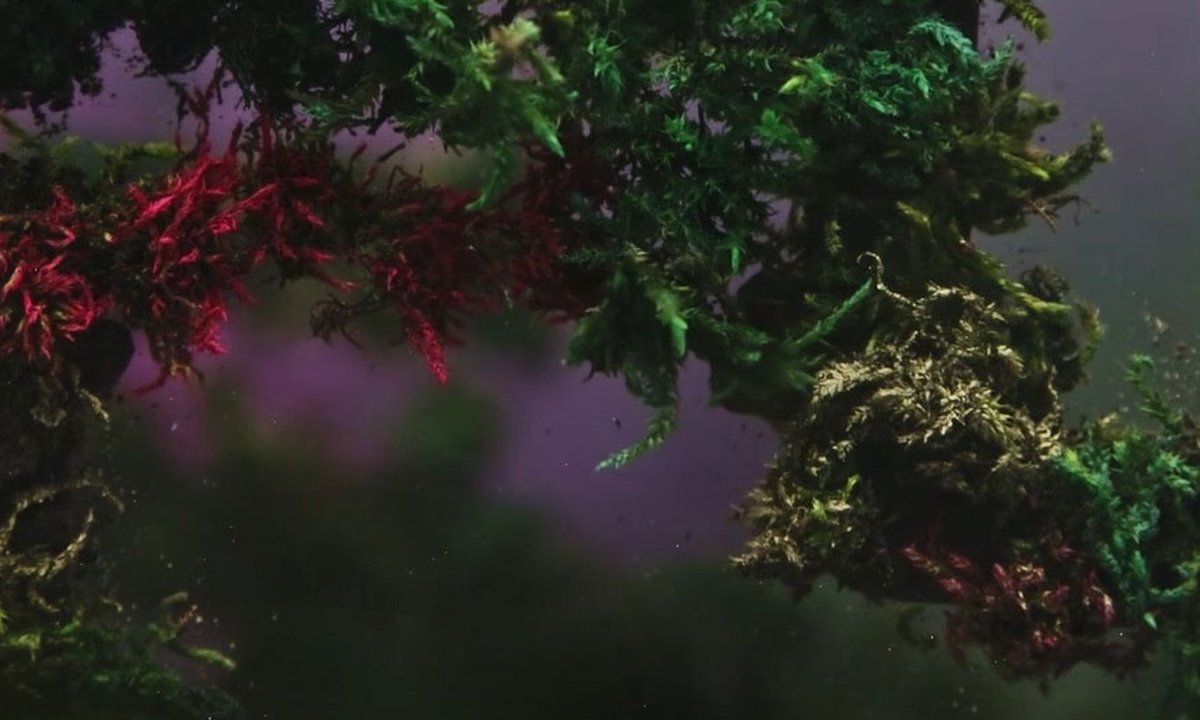 Outgrow the System – Universität Innsbruck