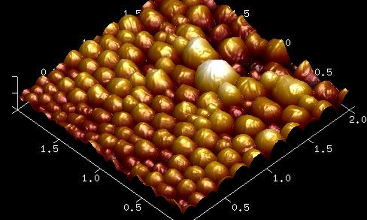 Microscopy – Universität Innsbruck