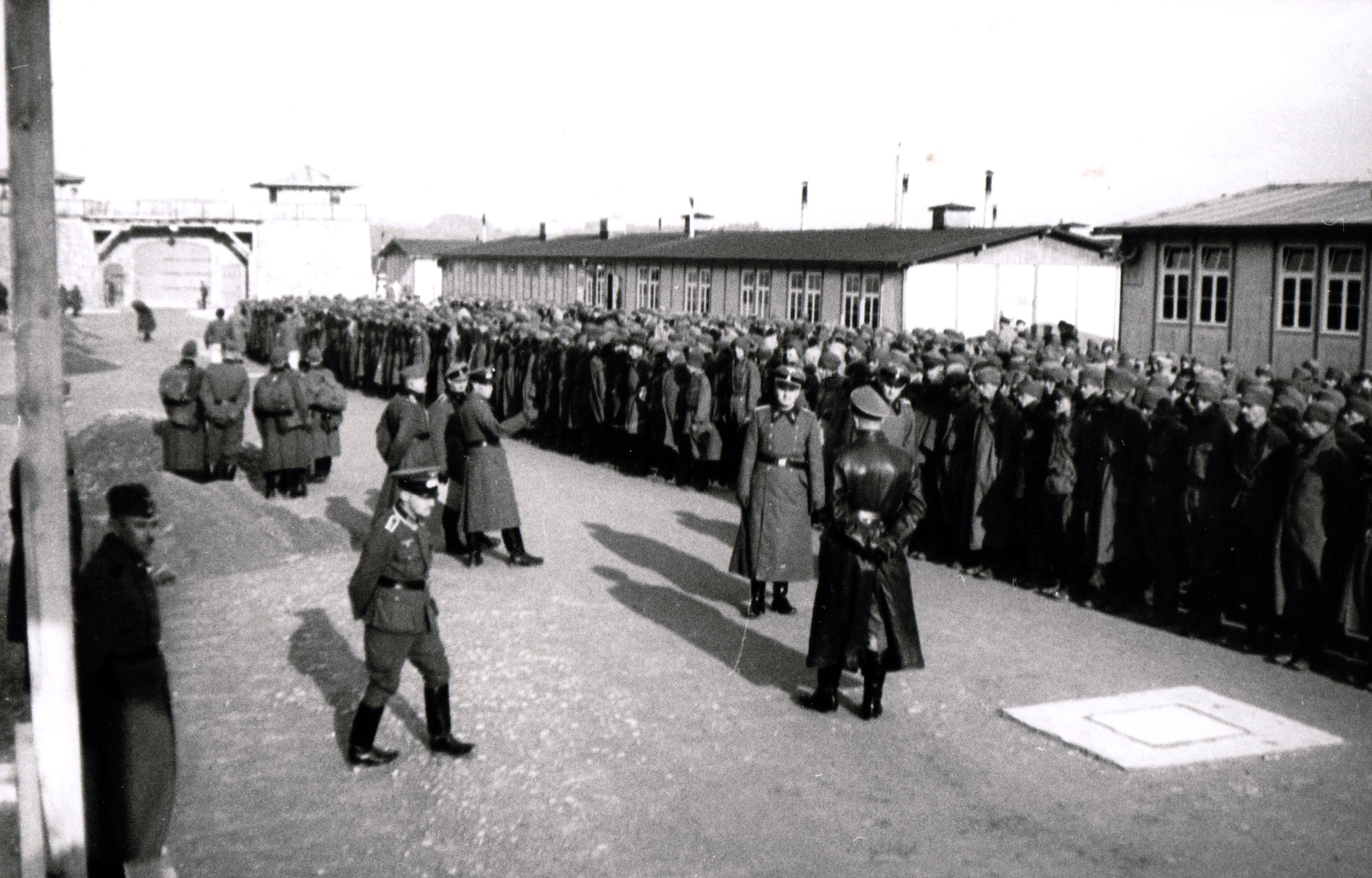Pressefotos Mai 2008 – Universität Innsbruck